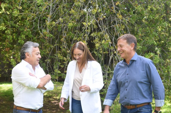 Vidal al lado de los radicales Suárez y Cornejo en Mendoza, para ...